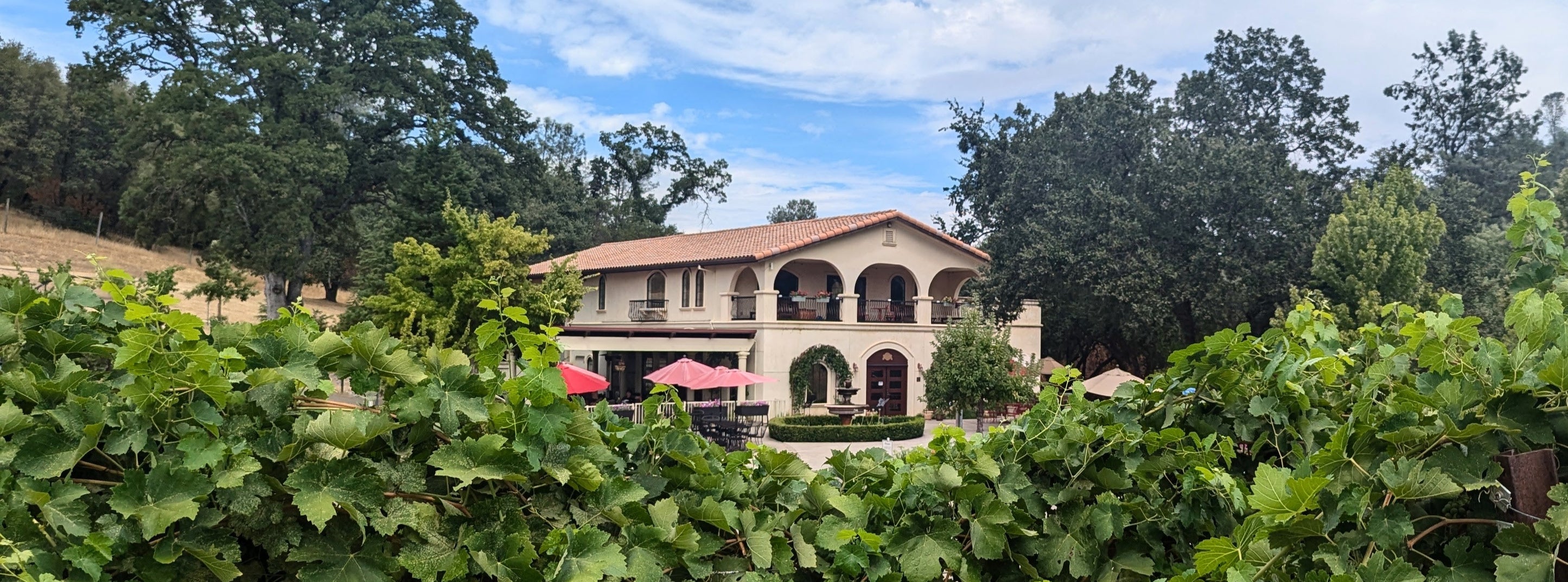 David Girard Winery – David Girard Vineyards